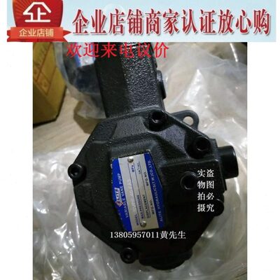 S油泵六角EVF-A3-F40爱力特LITEP