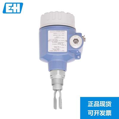 E+H音叉液位计开关 FTL50-AGR2AA4G5A 恩德斯豪斯Endress+Hauser