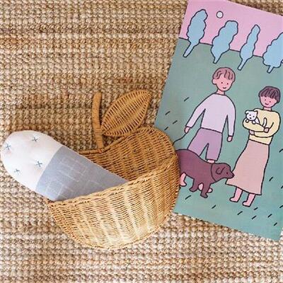 极速Ecofriendly Home Decor Hand Woven IRattan Basket Hanging
