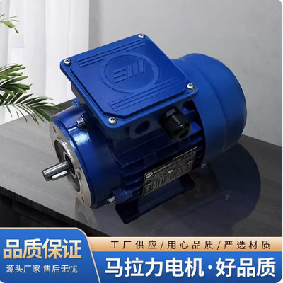 意大利marellimotor刹车马达 marellimotori电机MAQ80B4/0.75KW