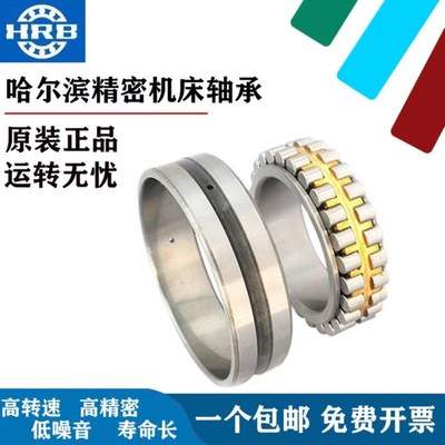 NN3005 3006 3007 3008 3009 3010K/P5 P4 W33哈尔滨机床轴承大全