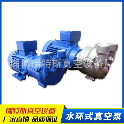 2BV真空泵 现货供应2BV2060水环式304材质直连式 真空泵