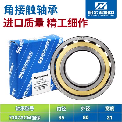 角接触轴承7307 7308 7309 7310 7311 7312 7313 7314 7315AC ACM