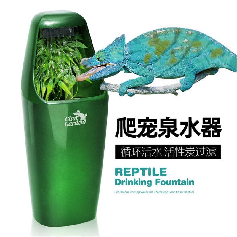 爬宠自循环饮水杯树栖爬虫滴水器饮水盆睫角活水饮水器电动循环