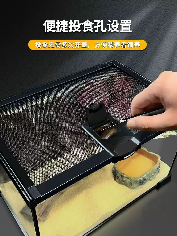 BG树栖睫角饲养箱宠物树蛙玻璃饲养缸雨林造景生态缸爬宠虫饲养盒