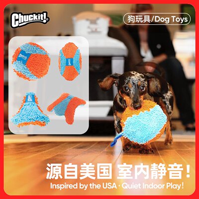 petmate幼犬室内狗狗玩具