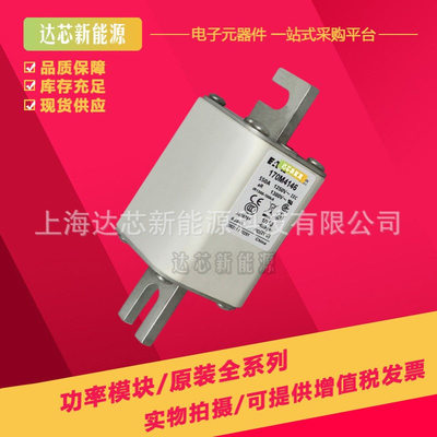 170M4188 170M4189 170M4190 170M4191 170M4192全新巴斯曼熔断器