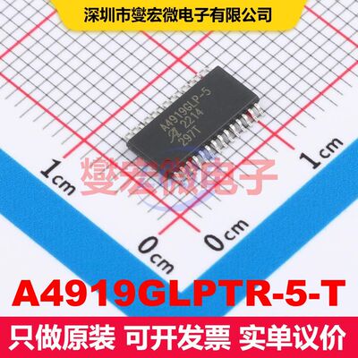 A4919GLPTR-5-T TSSOP-28-EP 闸极驱动器 电源管理 集成芯片IC