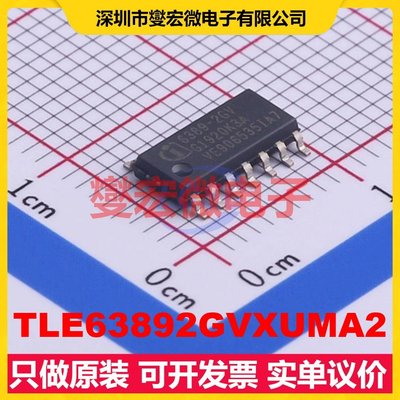 TLE63892GVXUMA2 DSO-14 DC-DC电源转换器芯片IC