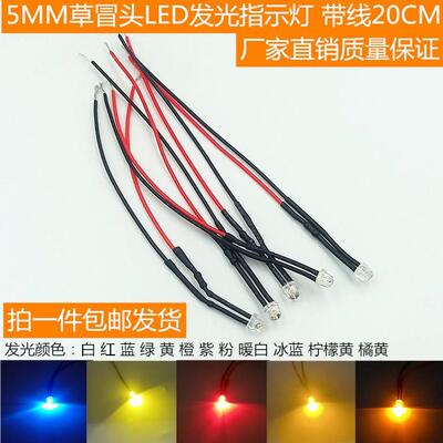 6V12V24V36V48V60V220V带线发光二极管5mm草帽散光焊线LED矮灯珠