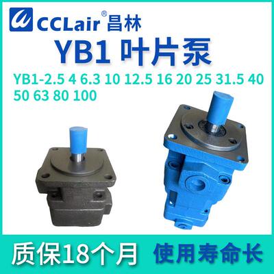 YB1-2.54油泵6.3叶片泵10121620253240YB1-506380100
