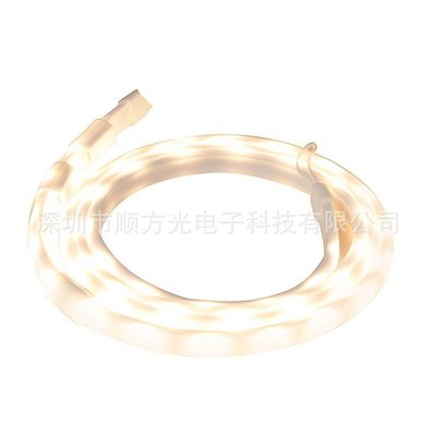 led布袋灯 户外野营灯 usb灯笼灯 5V帐篷灯带 3258软灯条