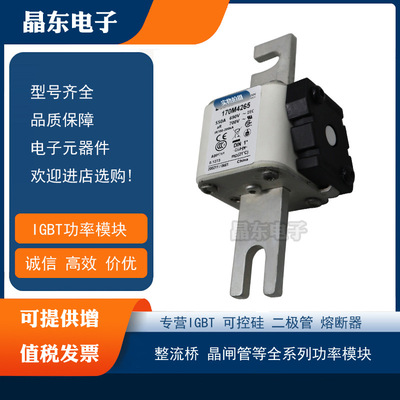 170M6243 170M6244 170M6245 170M6246 170M6247现货全新熔断器