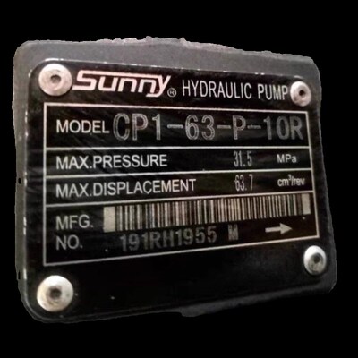 CP1-50-P-10R内啮合齿轮CwP1-63-P-10R注塑伺服泵 美国SUNNY