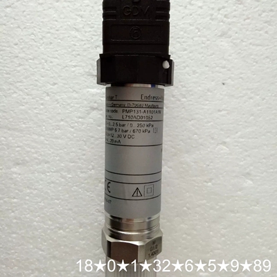 PMP131-A1101A1N 恩德斯豪斯 EH压力变送器