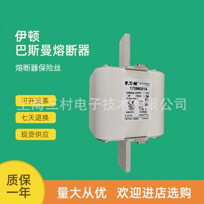 全新原装快速熔断器保险丝170M6918 170M6919 170M6920 170M6921