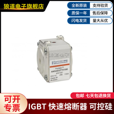 A065UD32TTI1100-M301081 A065UD33LI1500-P300531罗兰快速熔断器