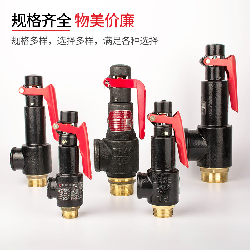 储气罐安全阀锅炉安全阀A27W-10/16T泄压阀排气阀铁安全阀4分6分