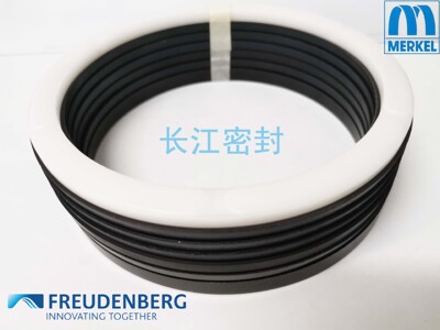 MERKEL FREUDENBERG DM-1170 -8.5 ES 90-110--35-40夹布油封