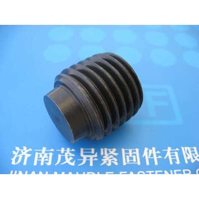 内六角圆柱端紧定螺丝M20*20/M24*25/M30*30