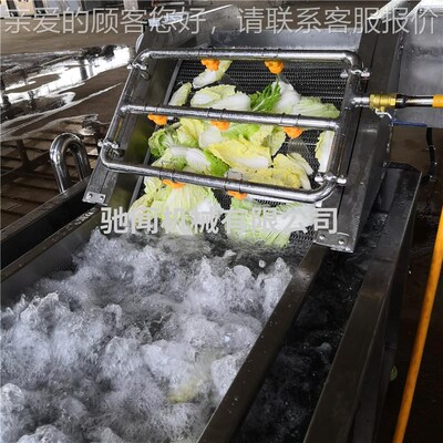连续式气泡清洗机UOA 淋山野菜气自泡喷洗菜机 全动洗蔬 菜机