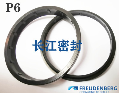 SP6 50-60.6-5.3-7 MERKEL P6 240-260-18德国MFF油封 进口防尘圈