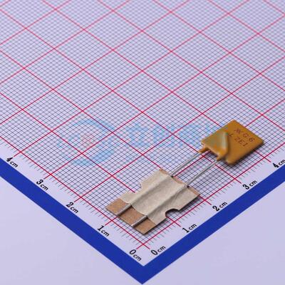 自恢复保险丝 RGEF600-2 插件 16V 6A 原装正品 电子元器件配单