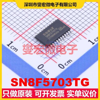 SN8F5703TG TSSOP-24 MCU/MPU/SOC微处理器控制器