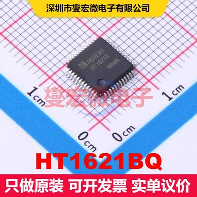 HT1621BQ LQFP-48(7x7) 显示驱动器 电源管理 集成芯片IC