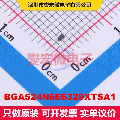 BGA524N6E6329XTSA1 TSNP-6 射频放大器 射频芯片IC