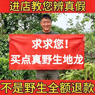 广西地龙正品蚯蚓整条白颈全开片