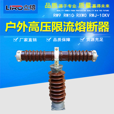 RWJ9RW10-35KV/0.5A户外高压限流熔断器T型 电压互感器保护直销