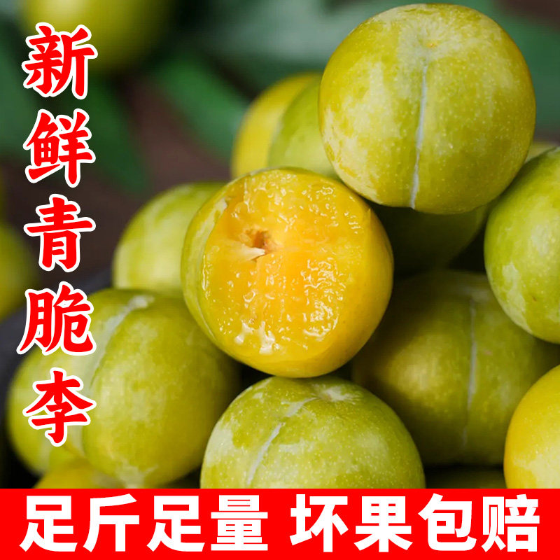李子新鲜水果特大脆甜当季应季孕妇助农水果批发现摘正宗青脆李子