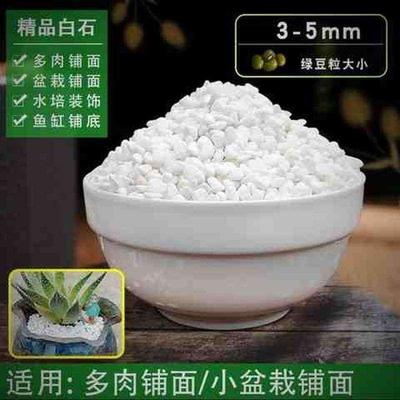 极速多肉植c物铺面石子彩色七彩五彩石子沙子鹅卵石花盆鱼缸装饰