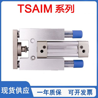 带导向架气缸TSAIM32/40/50/63/80/100/50X100XM150X200X250X500-