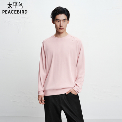 【商场同款】太平鸟男装 2025年冬季新款圆领套头卫衣B1CRF4434