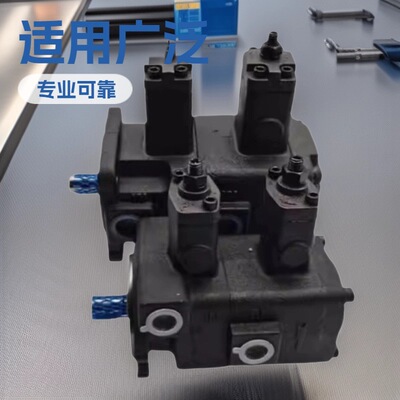 安颂定量叶片泵PVDF2-D55-D55-15