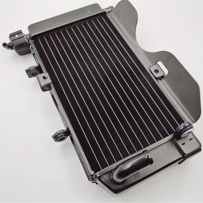 适用春风摩托配件CF250-7散热器水箱250CMLX主水箱冷却水箱散热器