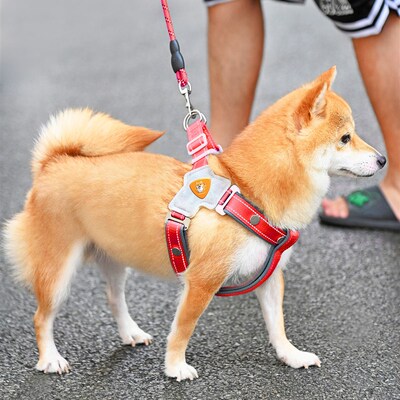 热销狗狗牵引绳背心式宠物胸x背带遛狗绳中小型柴犬柯基比熊泰迪