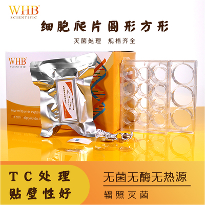 无菌TC贴壁处理多聚赖氨酸爬片