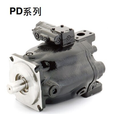 PD140PA01SLS5AAN0T00A0000