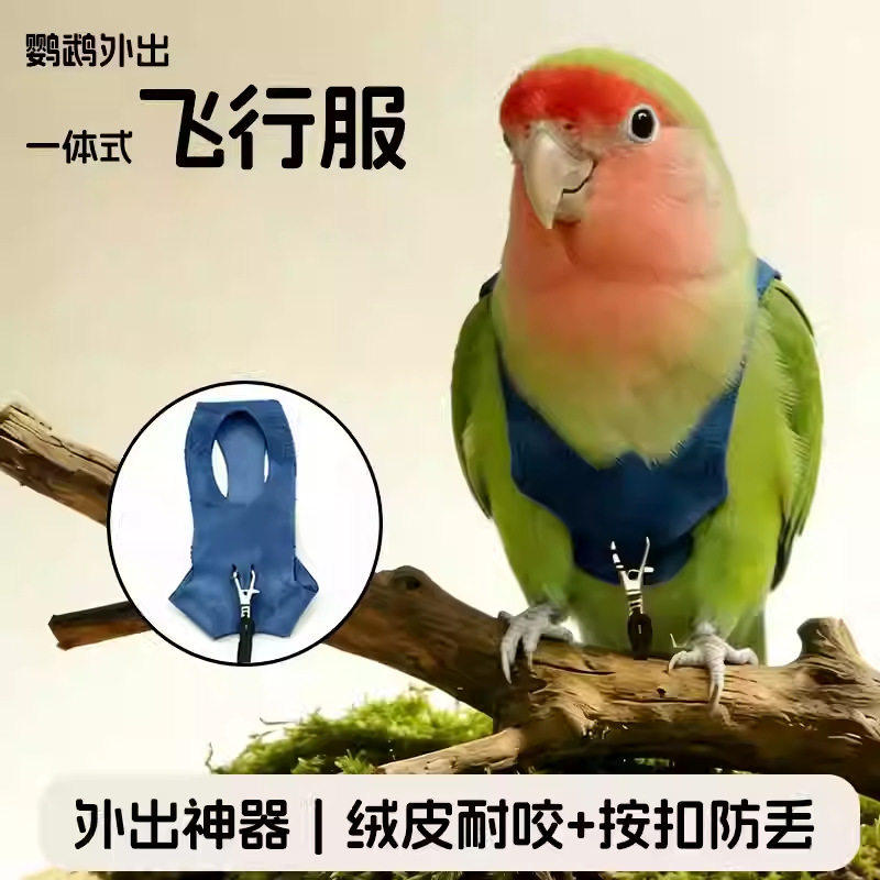 鹦鹉外出服一体式飞行服鸟禽服饰绒皮耐咬按扣防丢外出神器