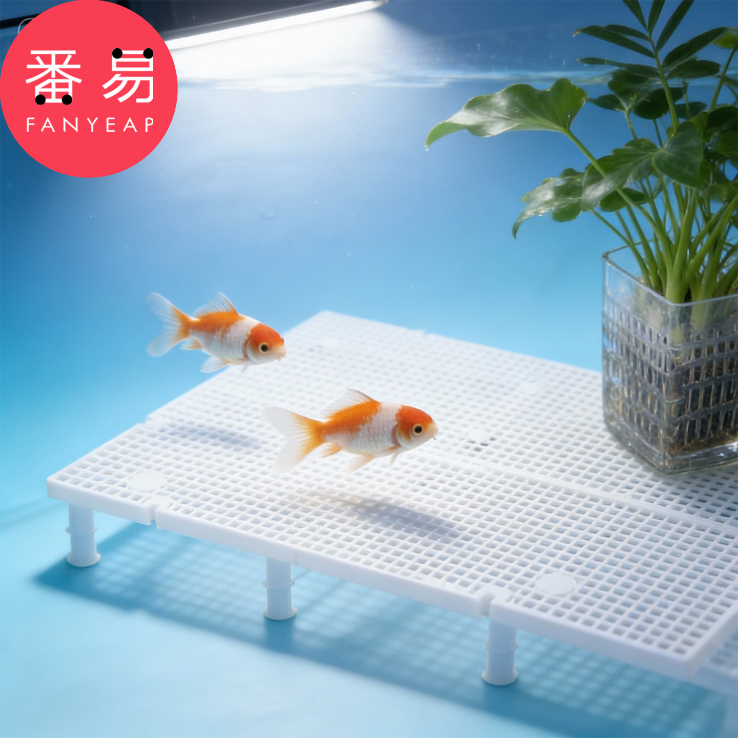 鱼缸垫板A1pn008-鱼缸底滤板隔板过滤垫板水族网格板鱼缸隔离板