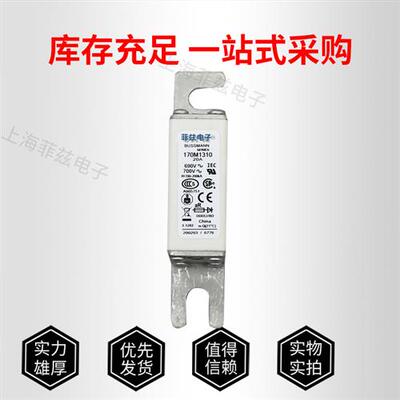极速170M1308 1309 1310 1311 1312 1313 1317 131U9 1322熔断器