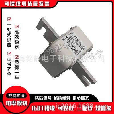 170M6063170M6064170M6065170M6066巴斯曼熔断器