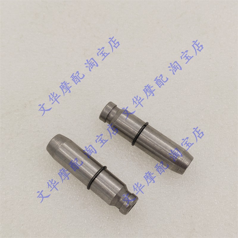 速发适用新大洲战龙 战豹 战彪SDH150-22-25-26-27-28-2气门导管