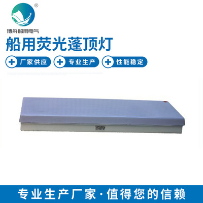 JPY40-2荧光蓬顶灯 船用LED照明灯具 船用荧光蓬顶灯