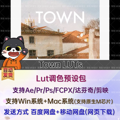 24个复古欧美城镇田园乡村色彩调色LUTs Cinegrain Town LUTs