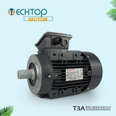 特波TECHTOP电机现货 MS系列T系列三相异步感应电动机机械设备用