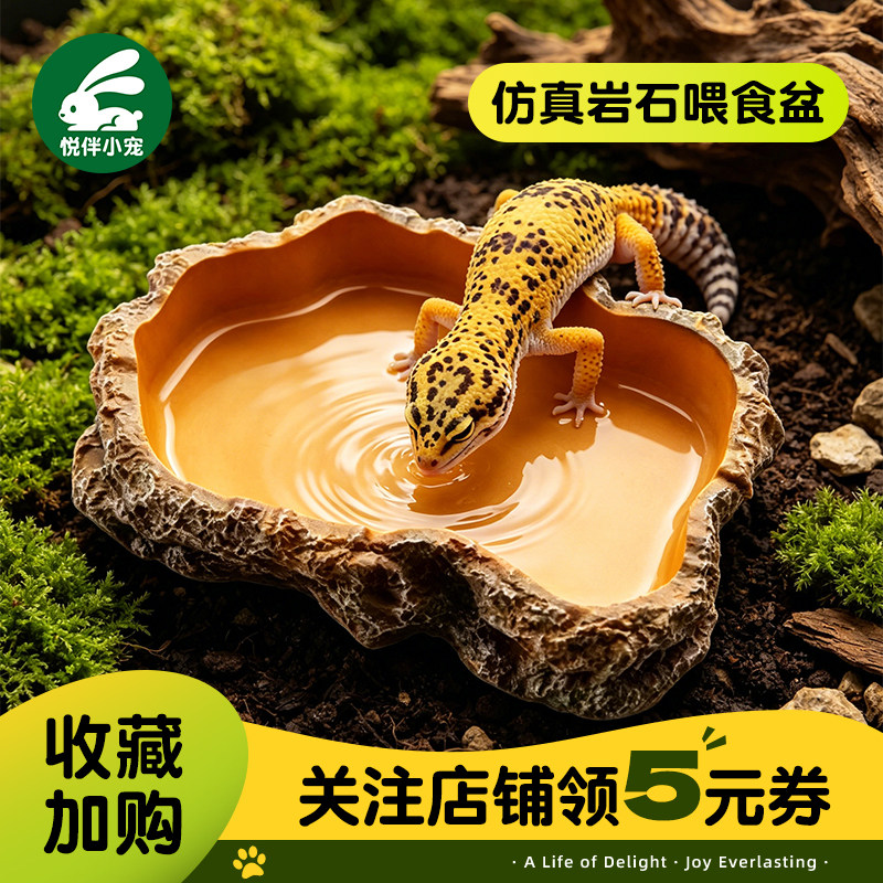 爬宠食盆水盆蜥蜴陆龟角蛙守宫喂食饮水器爬虫饲养箱造景装饰用品